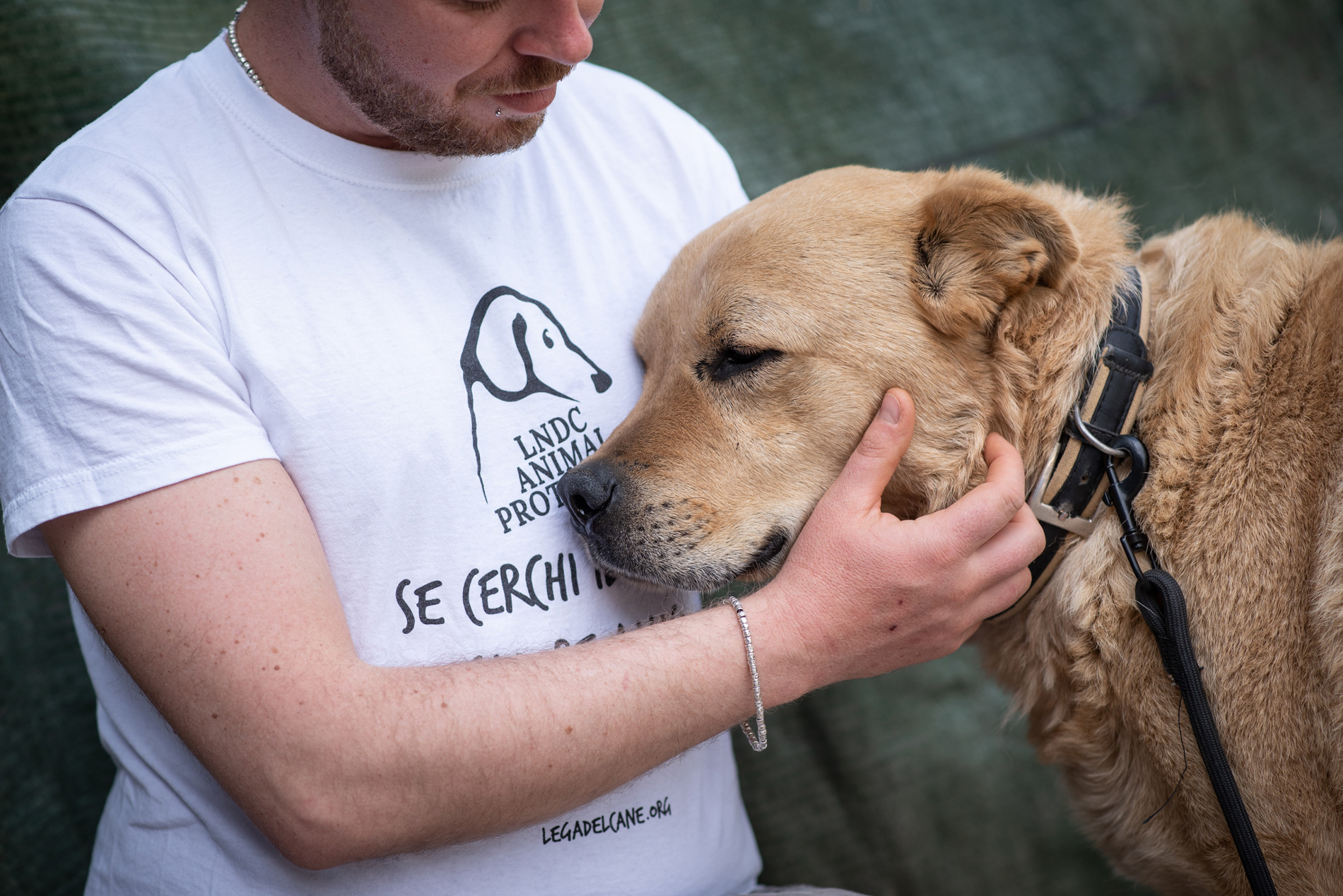 Normativa Nazionale e Internazionale a tutela degli animali - LNDC ...