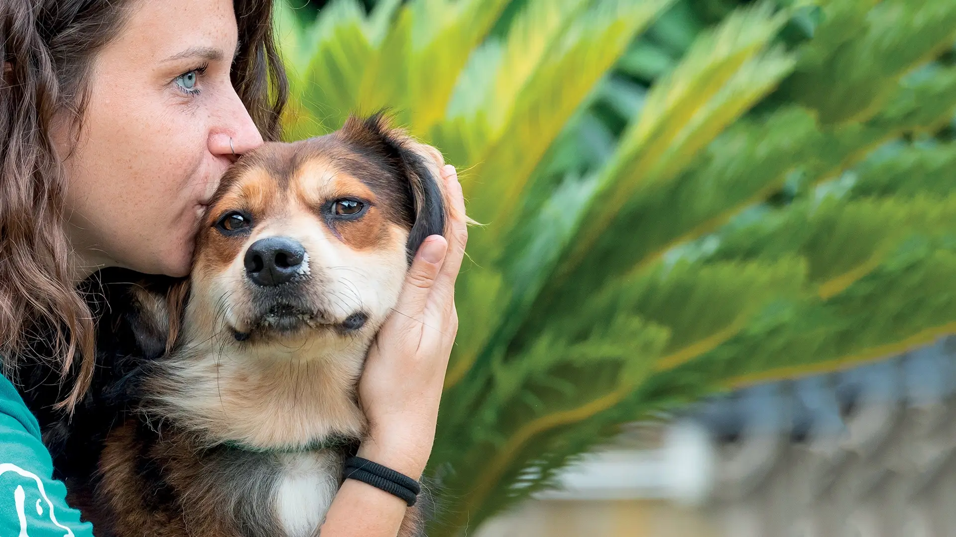 5x1000 agli animali - LNDC Animal Protection